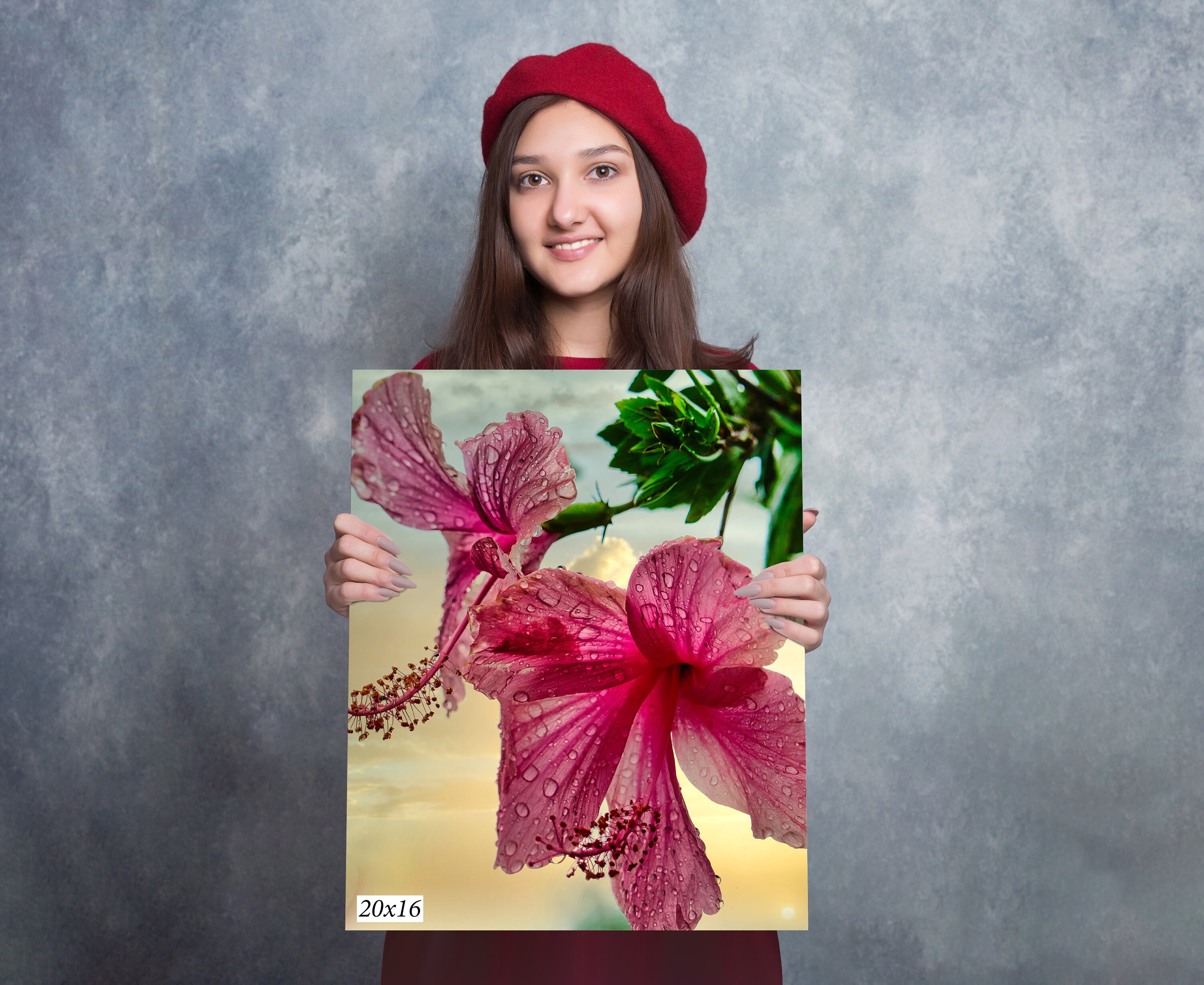 Pink Hibiscus Framed Against Late Afternoon Sky, Translucent Hibiscus ...
