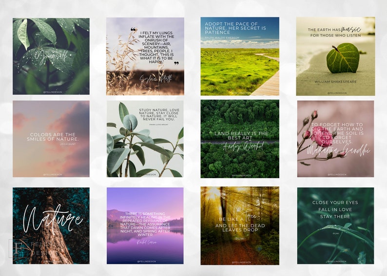20+ Nature Themed Editable Motivational Photo Quotes for Posting to ...