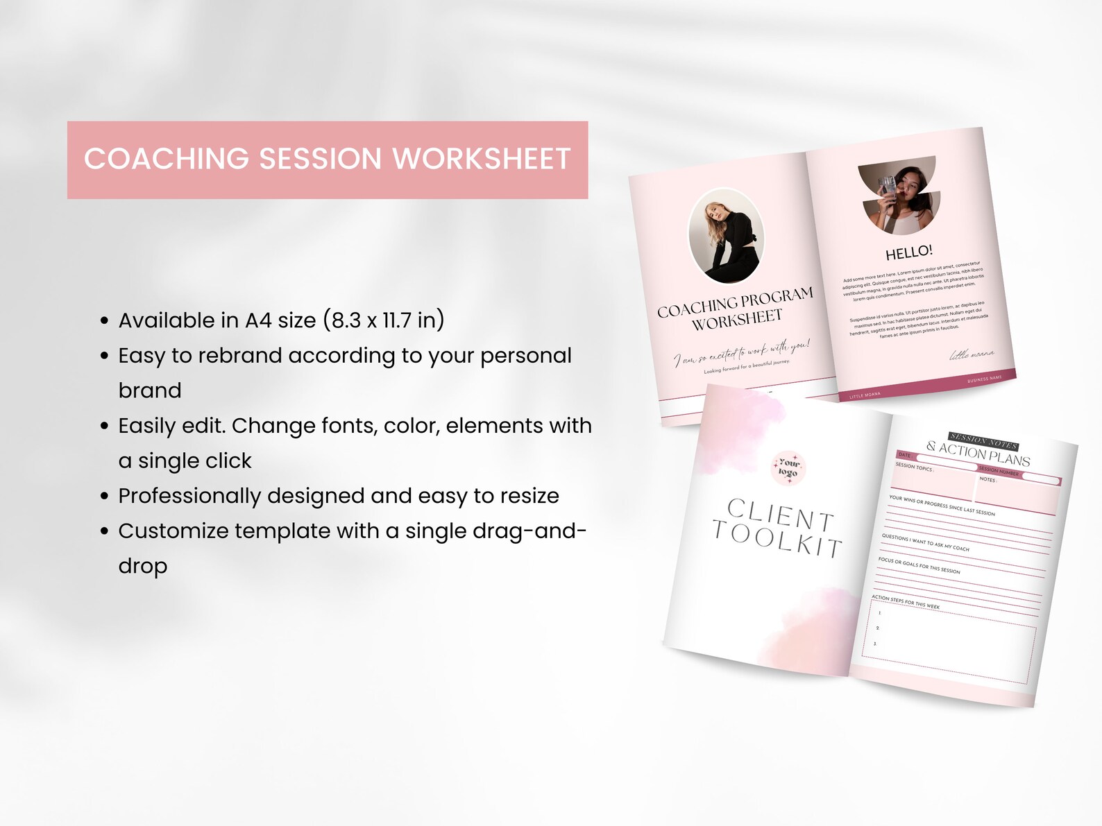 Coaching Session Worksheets, Coach Form, Client Form, Coaching Program ...