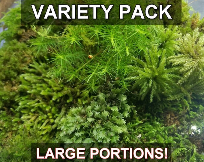 LIVE Moss***terrarium Moss***bulk Moss*** Variety Pack *** 5-7 Types ...