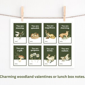 Woodland Animal Valentine Day Cards, Nature Valentines Day Cards ...