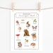 Printable Woodland Forest Animal Scavenger Hunt for Toddler and ...