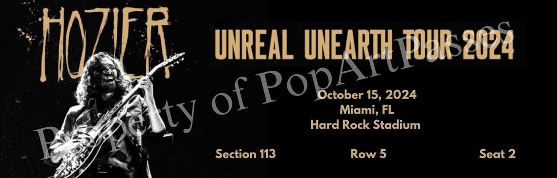 Hozier Souvenir Ticket - Etsy