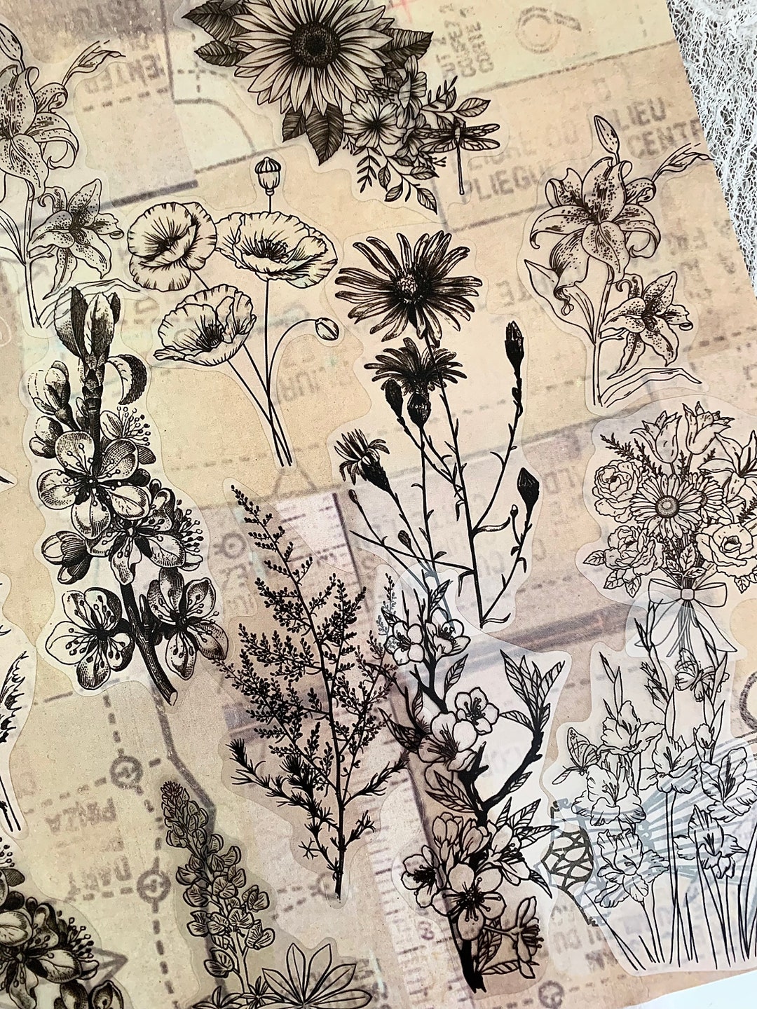 40pc Clear Sketch Flowers Stickers, Journal Stickers, Planner Stickers ...