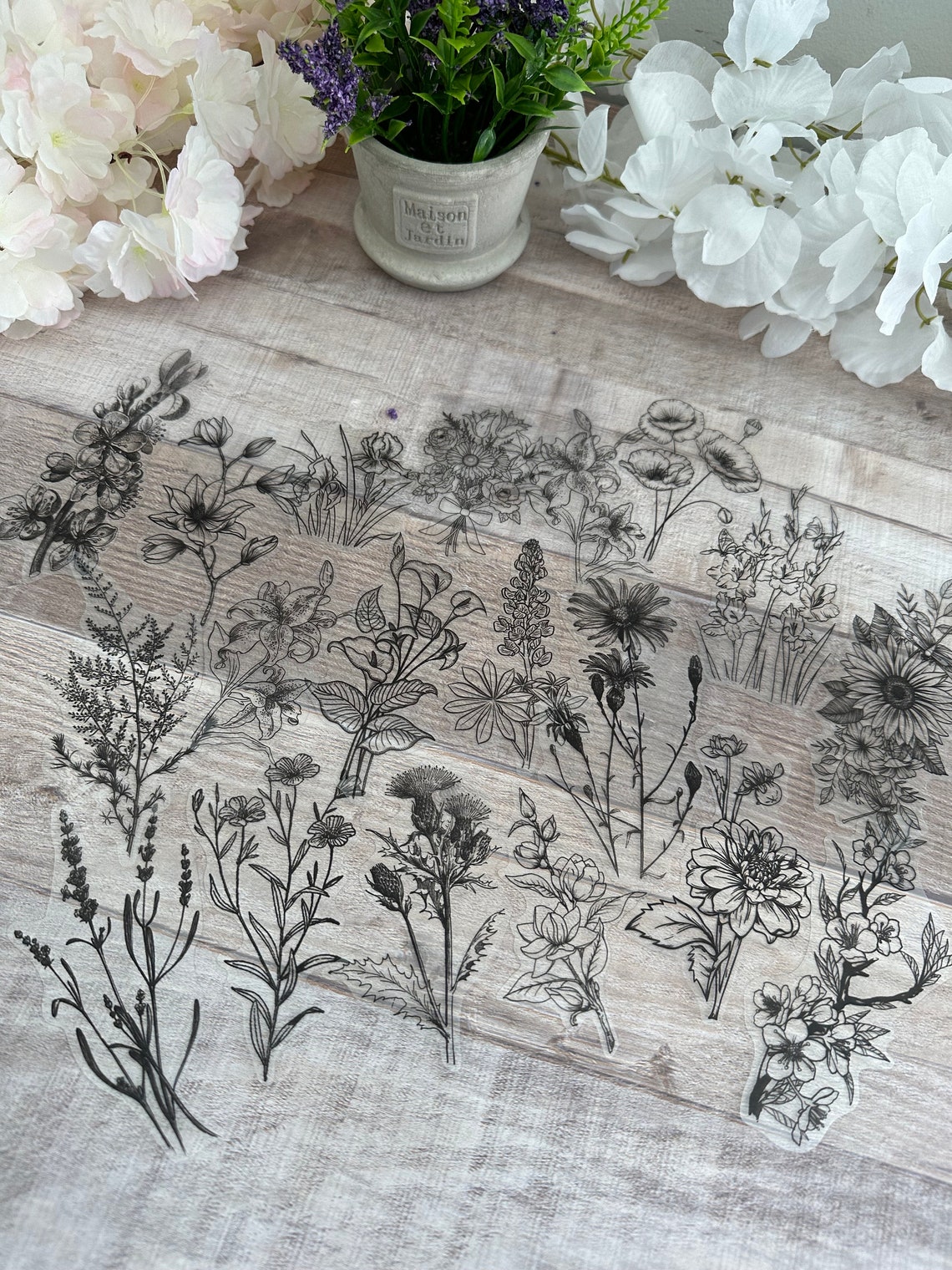 40pc Clear Sketch Flowers Stickers, Journal Stickers, Planner Stickers ...
