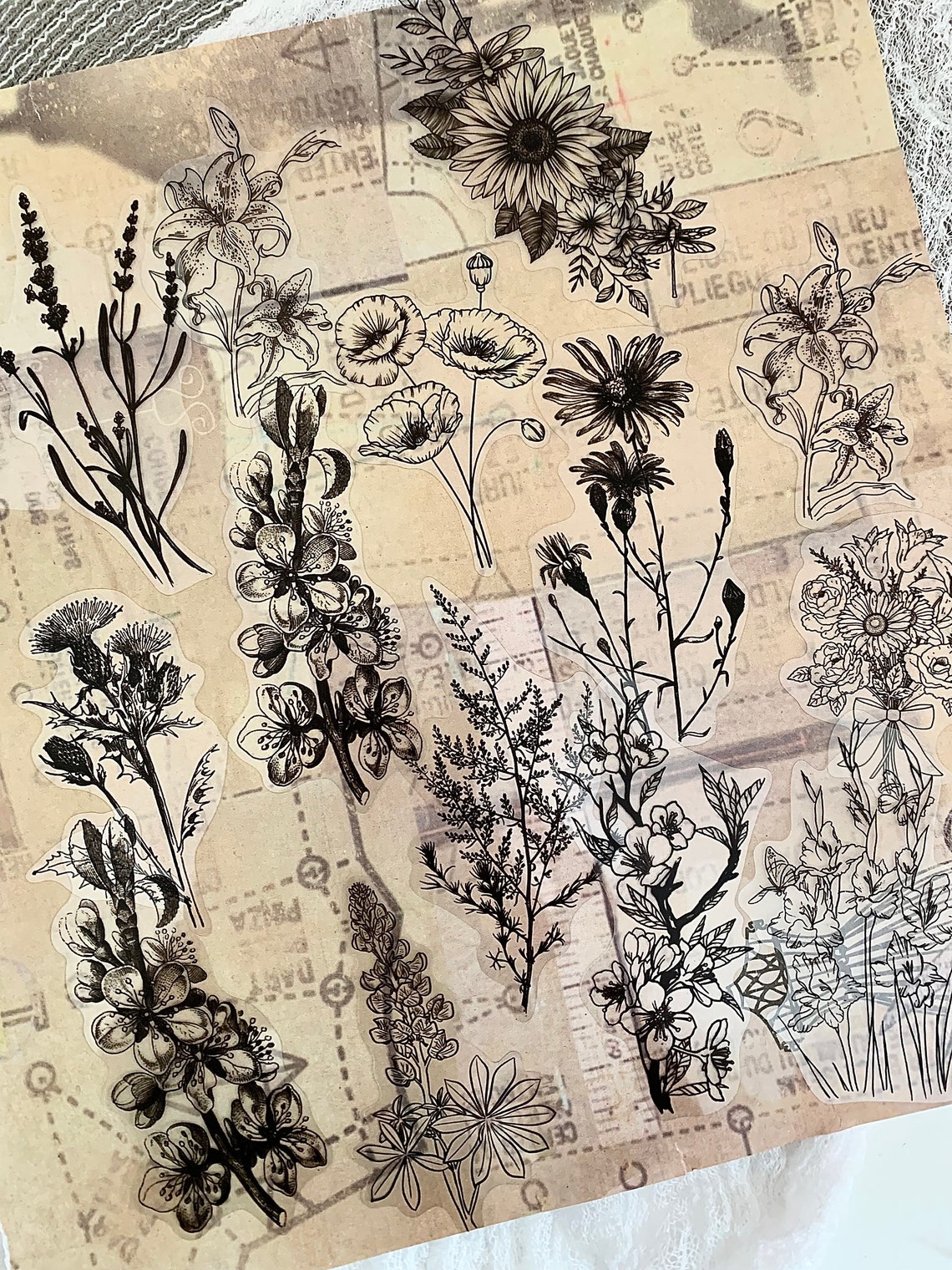 40pc Clear Sketch Flowers Stickers, Journal Stickers, Planner Stickers ...