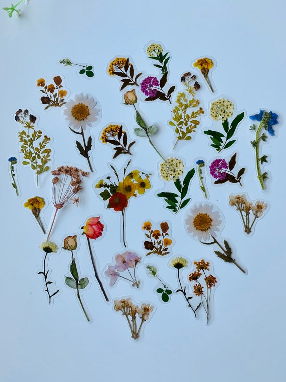 Clear Flower Stickers Stickers Plants Stickers Transparent - Etsy