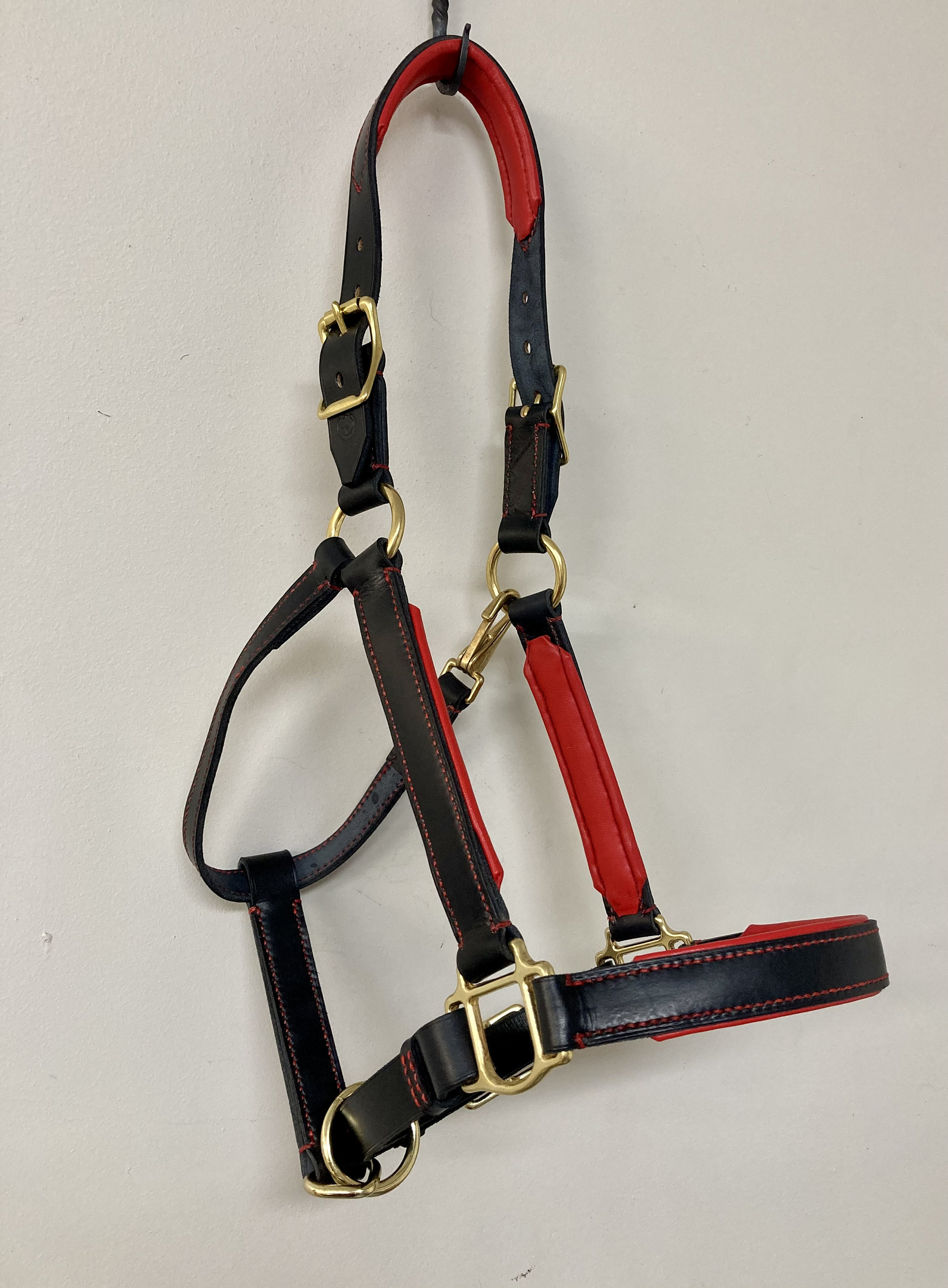 Fully Custom Horse Halter - 1” Wide Full Grain Leather With Lambskin ...