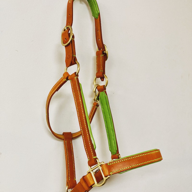 Custom Horse Halter - Etsy