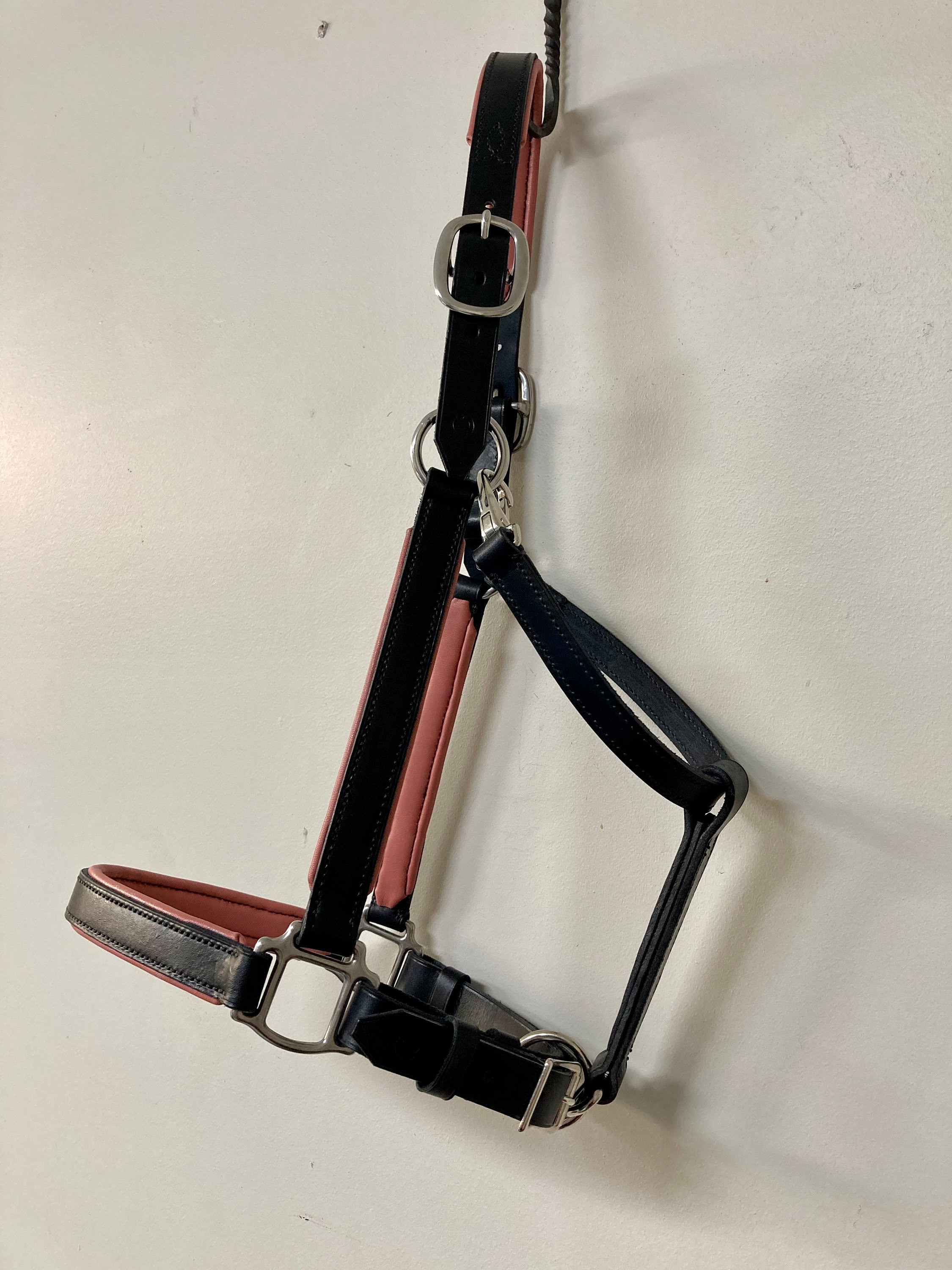 Fully Custom Horse Halter 1 Wide Full Grain Leather With Lambskin ...