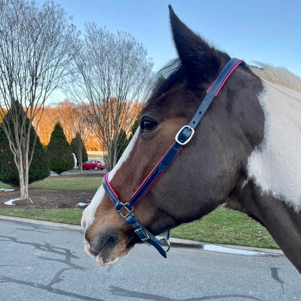Custom Halter - Make Your Own Halter