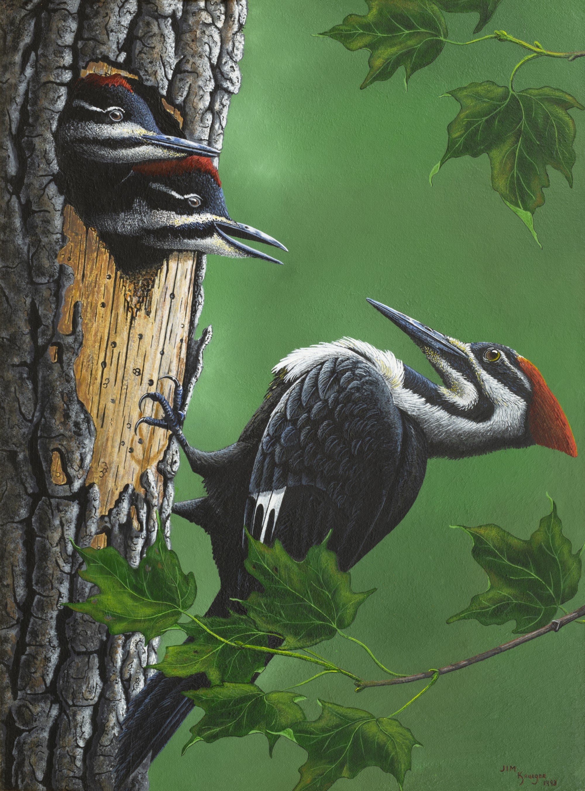 Pileated Woodpecker Print, Woodpecker Family Wall Art, Woodpecker Wall ...