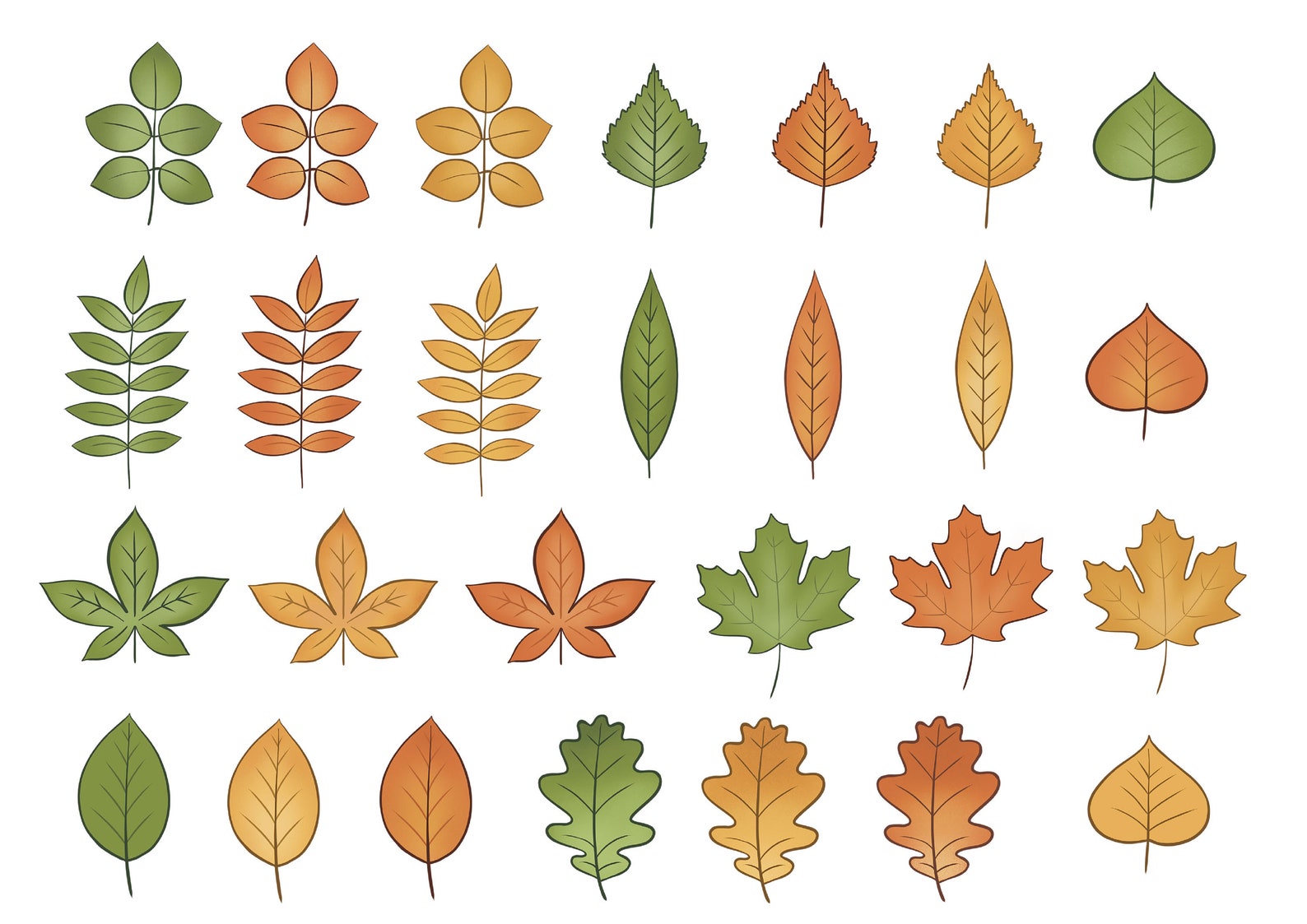 Fall Leaves Clipart, Fall Leaves Svg, Fall Svg Designs, Fall Clipart ...
