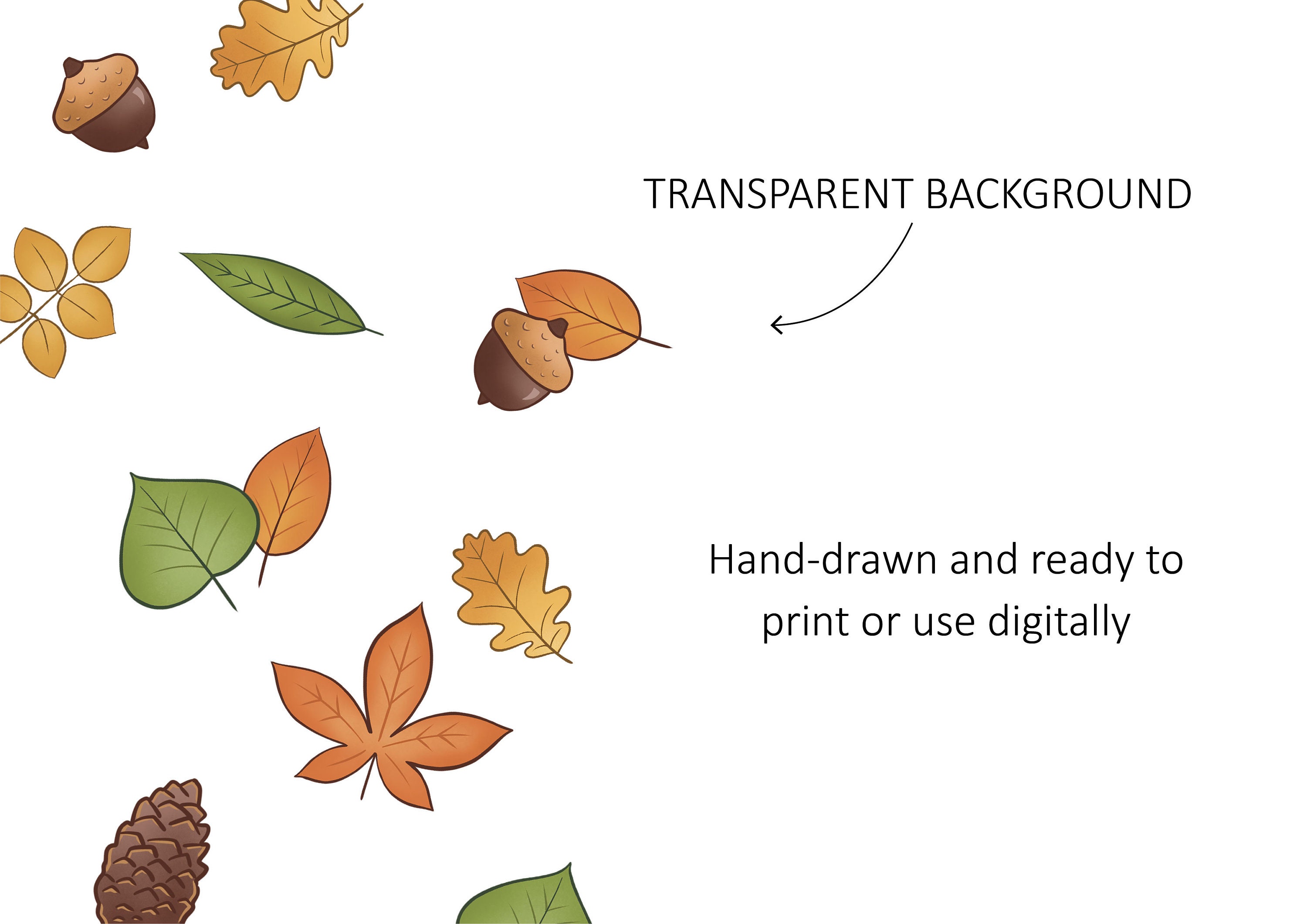 Cute Pumpkin Clip Art, Fall Leaves SVG, Fall Pumpkin Clipart, Fall Svg ...