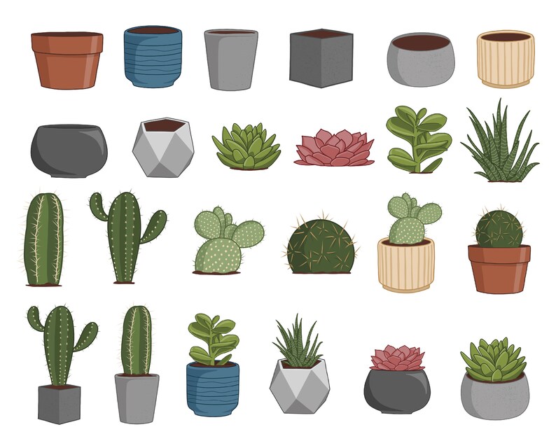 Cactus Clipart, Succulent Clipart, Succulent SVG, Cactus SVG, Succulent ...