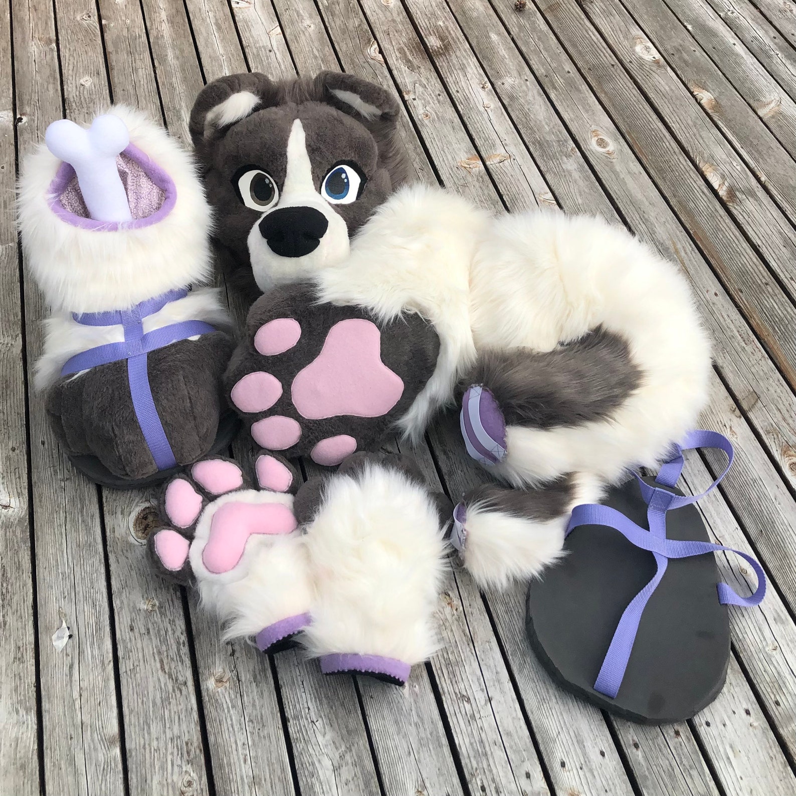 Fursuit Full Partial Premade border Collie/malamute Mix - Etsy