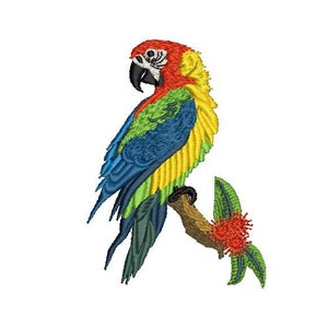 Parrot Tropical Bird Embroidery Design 4 X 4 - Etsy