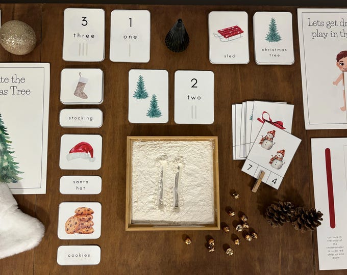 Poinsettia Unit Study, Poinsettia Anatomy and Life Cycle, Poinsettia ...