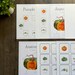 Pumpkin Unit Study, Flashcards, Homeschool Lesson Plan, Pumpkin Life ...
