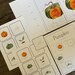 Pumpkin Unit Study, Flashcards, Homeschool Lesson Plan, Pumpkin Life ...