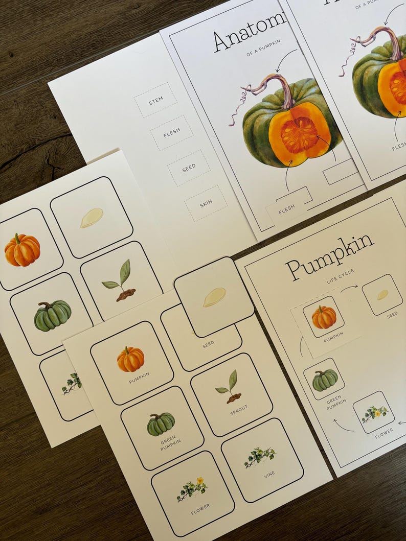 Pumpkin Unit Study, Flashcards, Homeschool Lesson Plan, Pumpkin Life ...