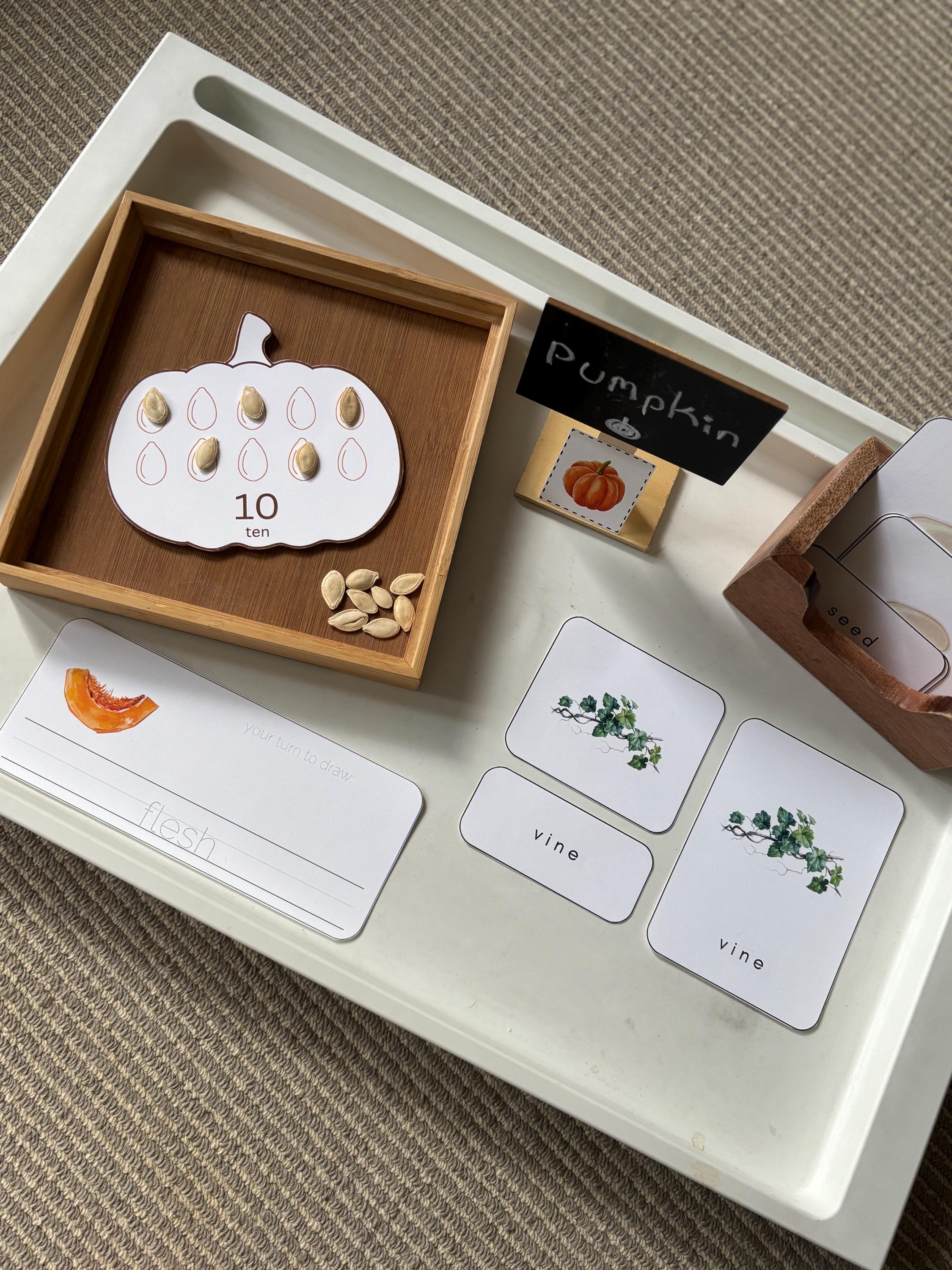 Pumpkin Unit Study, Flashcards, Homeschool Lesson Plan, Pumpkin Life ...