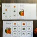 Pumpkin Unit Study, Flashcards, Homeschool Lesson Plan, Pumpkin Life ...