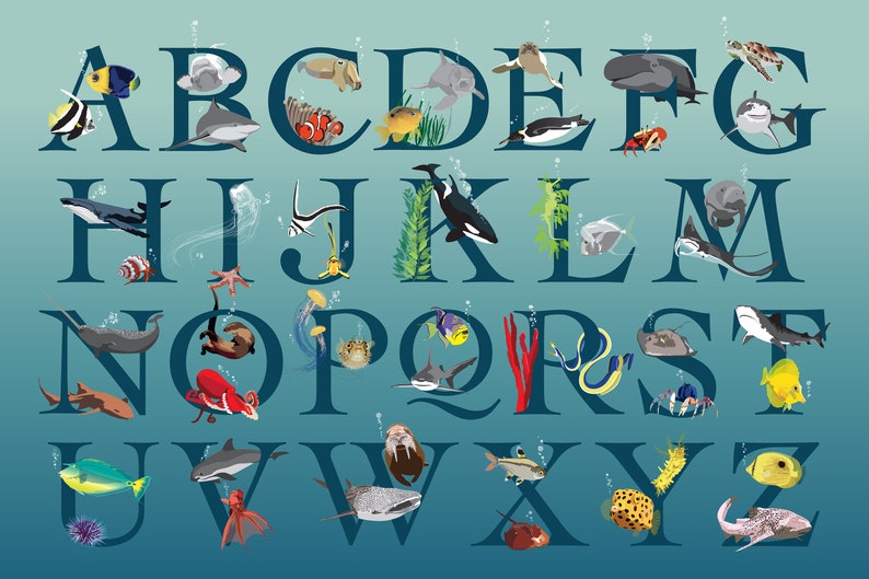 Sea Life Alphabet Poster Horizontal - Etsy