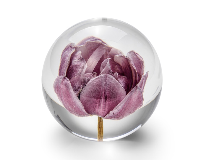 Tulip Flower Glass Candle Holder, Pink, Orange Flower-shaped ...