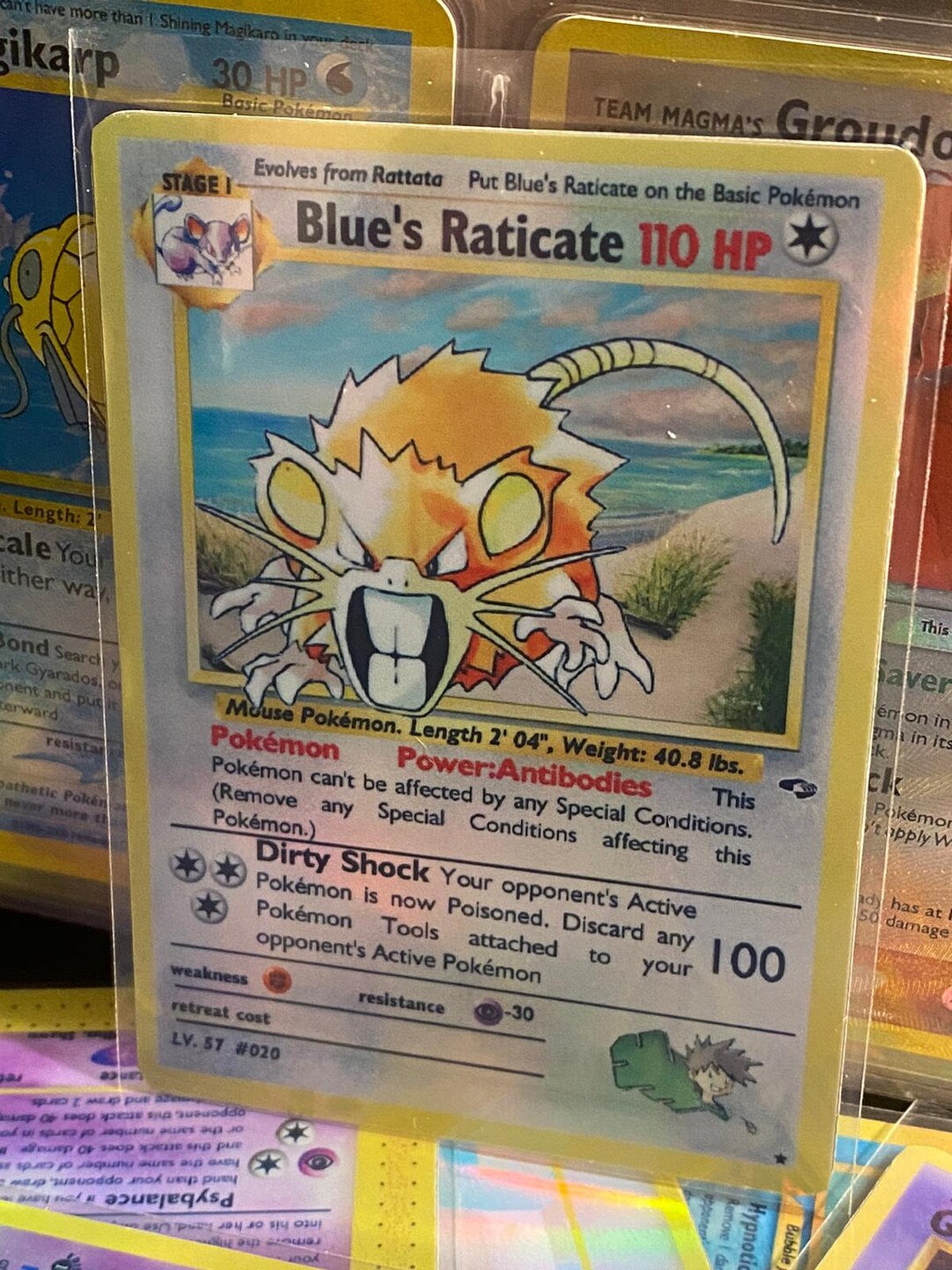 Blue's Raticate Gym Heroes Revival Handmade Holo Proxy Card - Etsy