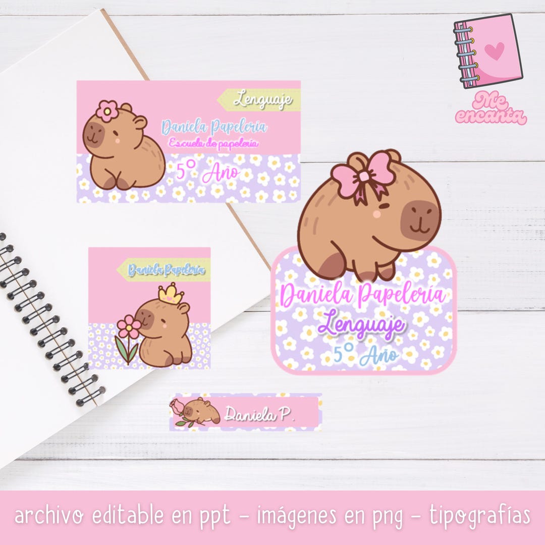 Kit stickers escolares capibara rosa pack digital etiqueta - Etsy España