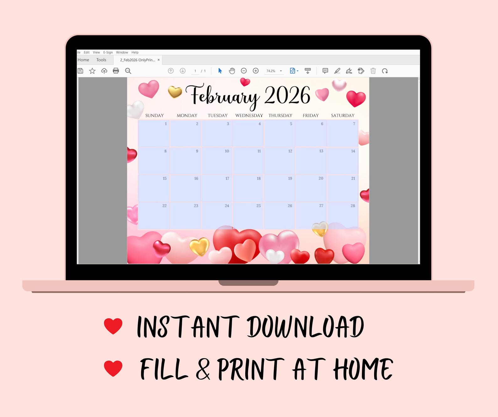 EDITABLE 2026 Monthly Calendar Bundle | Cute Printable Planner for Work ...