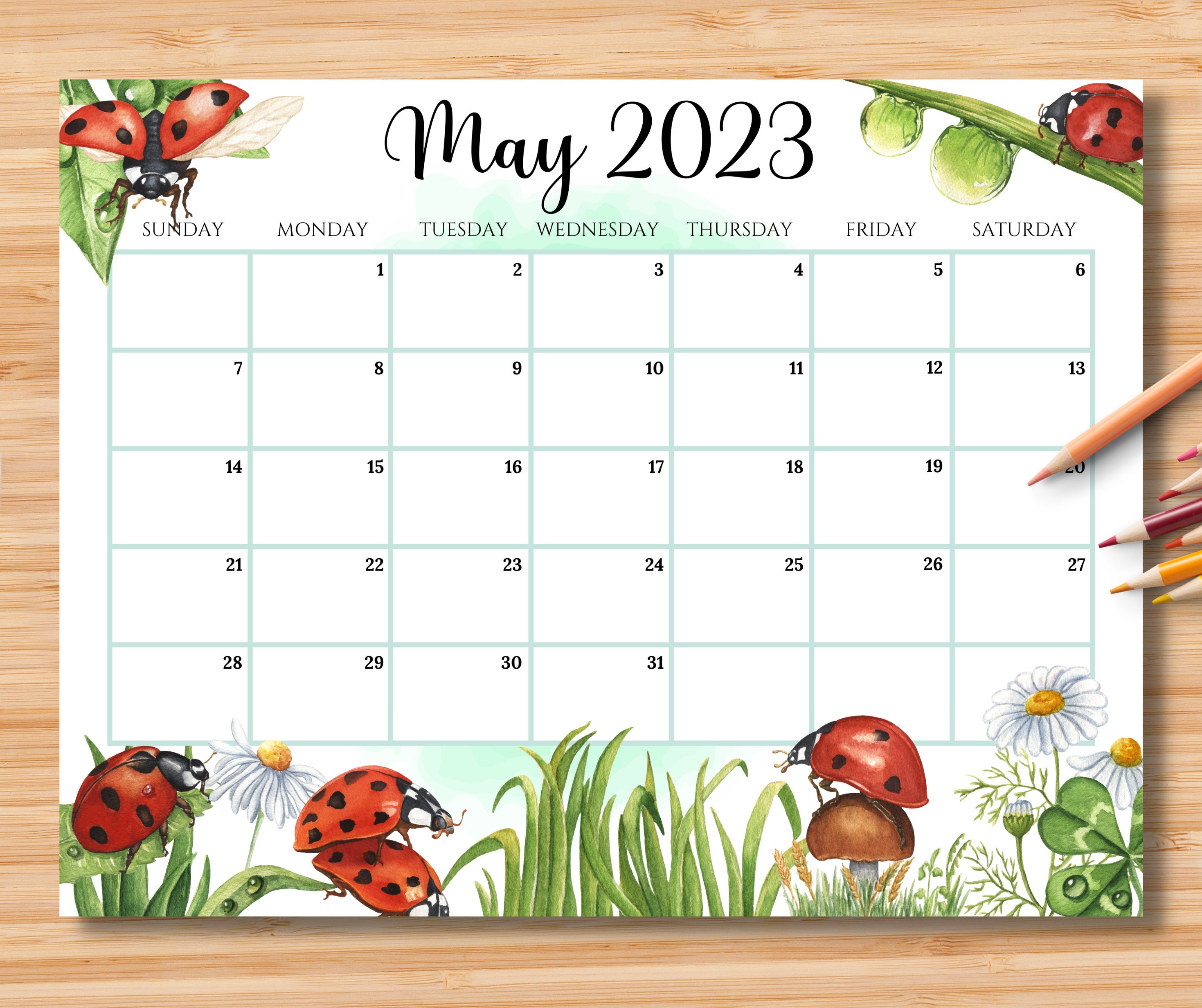 EDITABLE May 2023 Calendar Beautiful Spring With Cute Bugs Etsy Canada