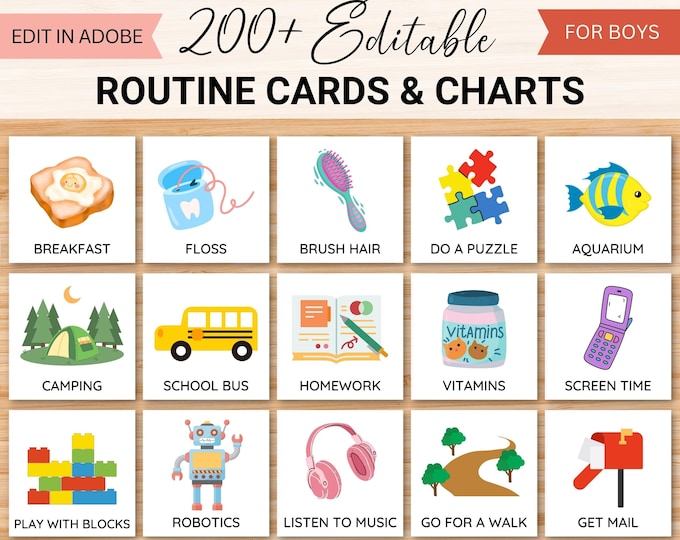 Editable Daily Routine Cards & Chart, Toddler Daily Rhythm, Visual ...