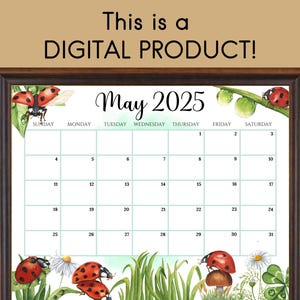 EDITABLE May 2025 Calendar, Beautiful Spring With Cute Bugs and Flowers ...