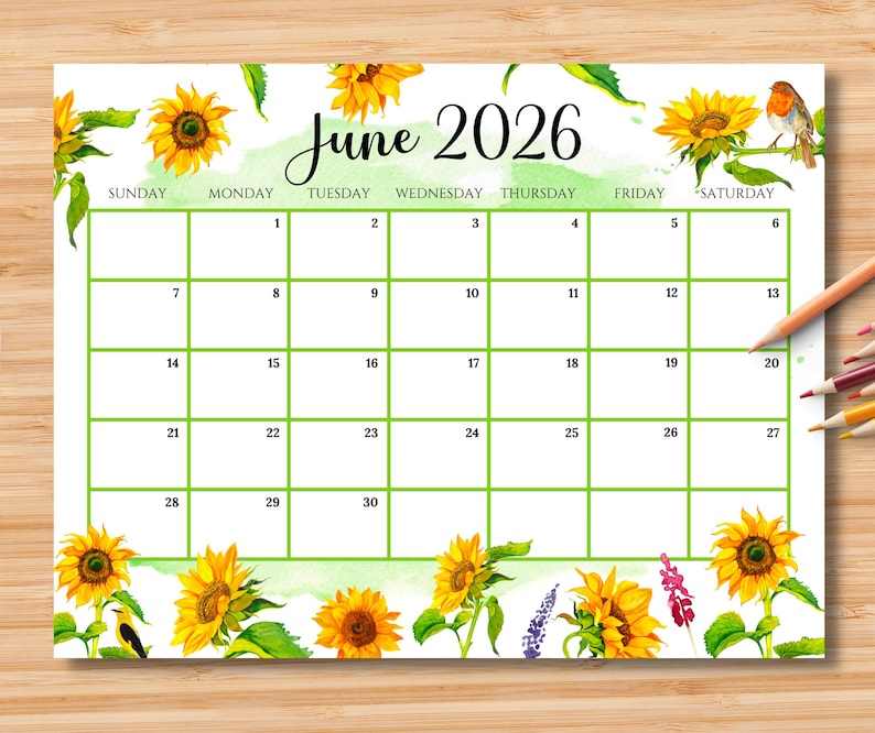 Editable June 2026 Calendar | Monthly Planner Printable PDF | School ...