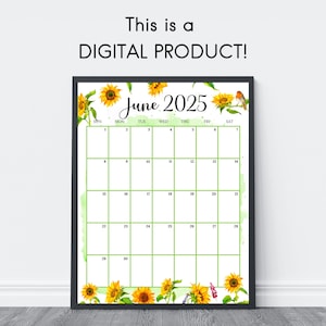 EDITABLE June 2025 Calendar (vertical / Portrait), Summer Planner With ...