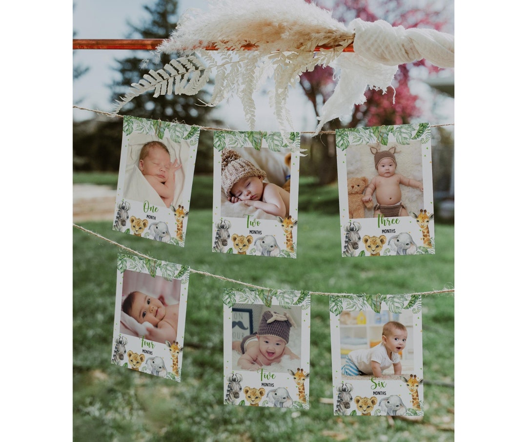 Safari Monthly Photo Banner, Baby First Year Photos, Milestone Banner ...