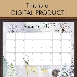 EDITABLE January 2025 Calendar, Beautiful Winter in a Forest, Printable ...