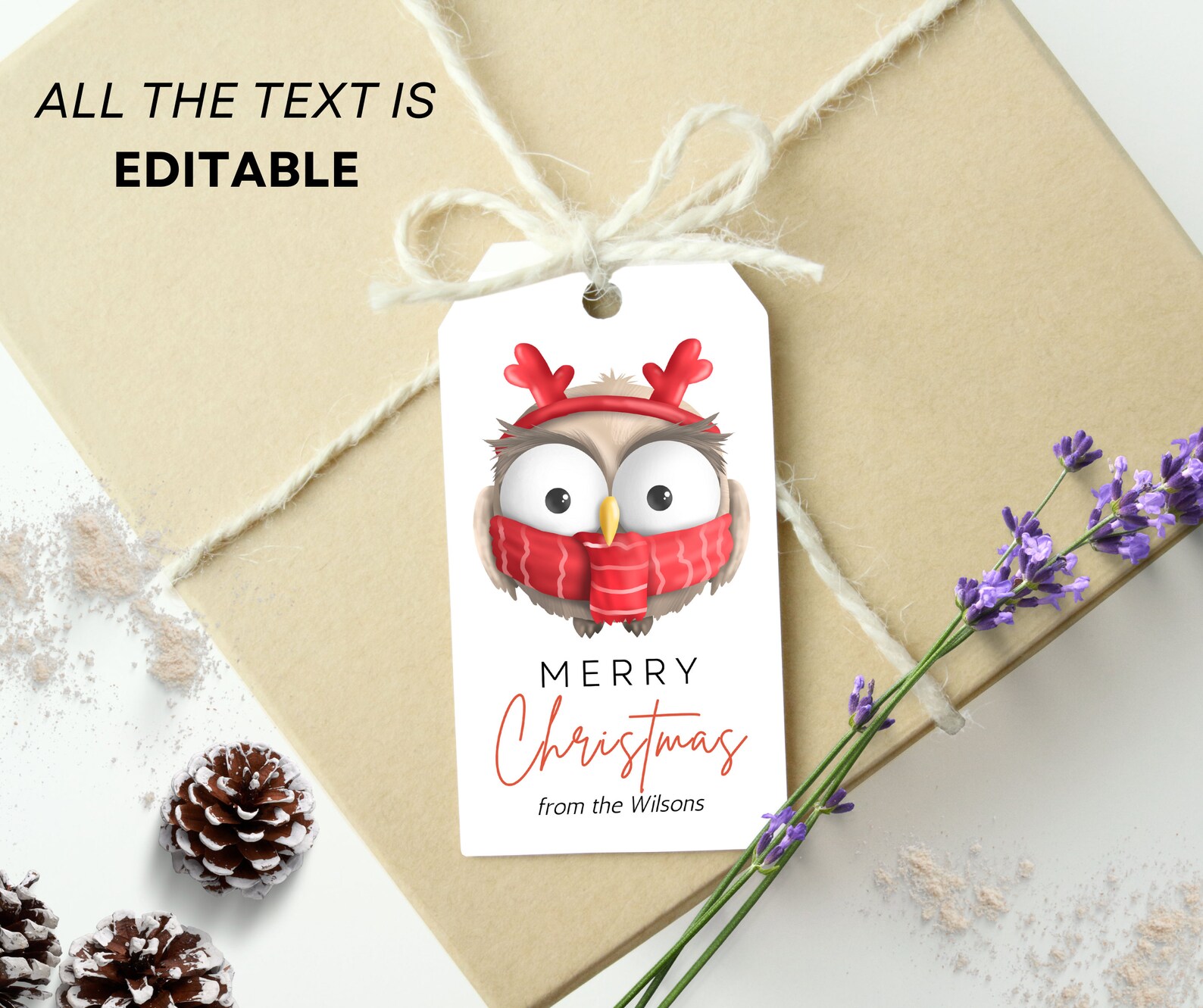 EDITABLE Christmas Gift Tag Cute Cartoon Holiday Gift Tag - Etsy