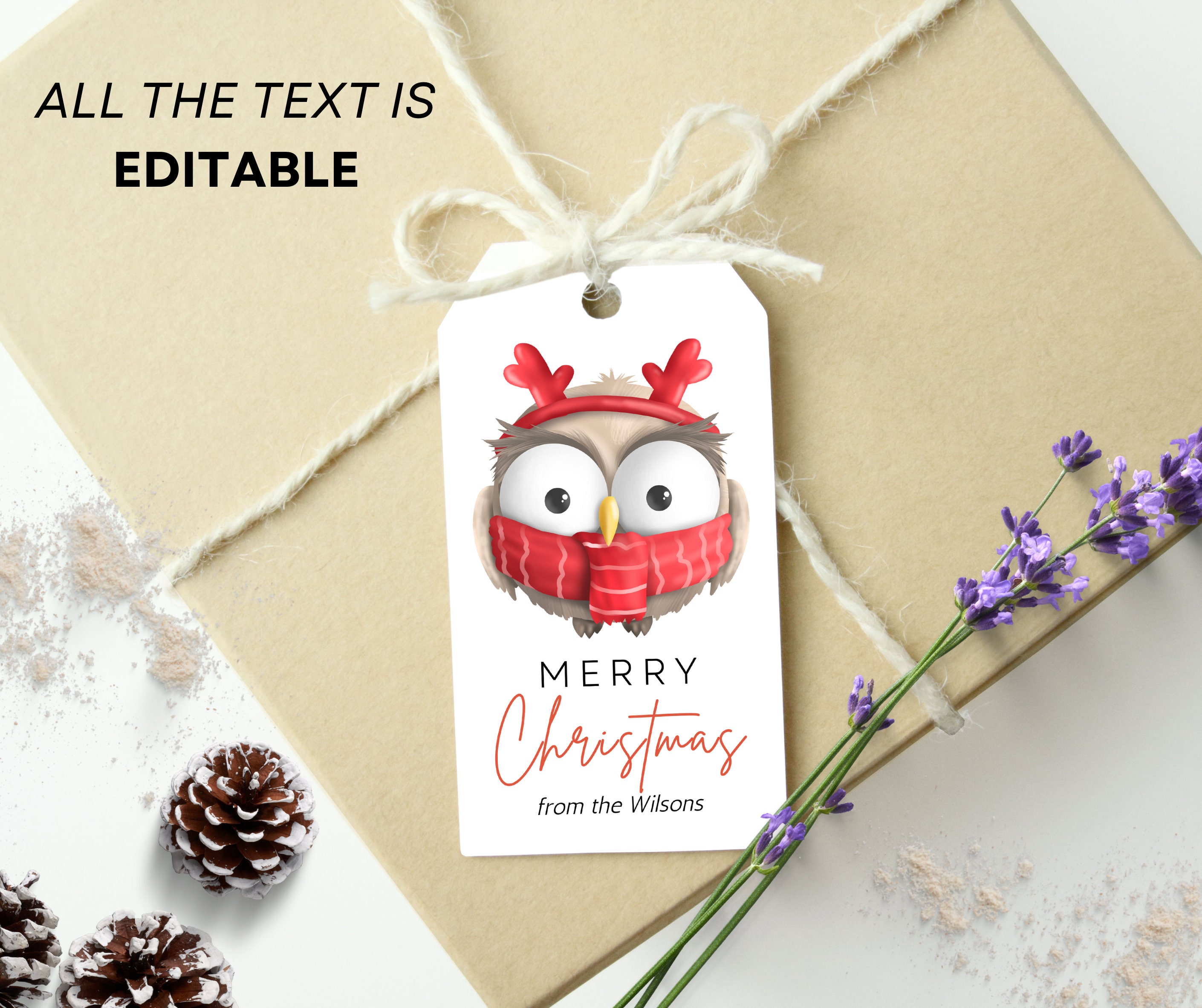 EDITABLE Christmas Gift Tag Cute Cartoon Holiday Gift Tag - Etsy