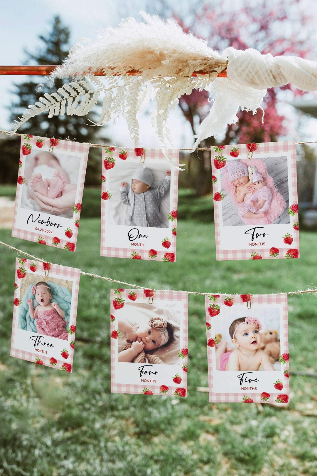 Editable Pink Gingham Strawberry Monthly Milestone Photo Cards, Berry ...