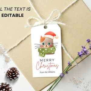 EDITABLE Cat Christmas Gift Tag, Holiday Gift Tag Template W/ Kittens ...