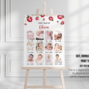 Berry First Birthday Monthly Milestone Photo Poster, Berry Birthday ...