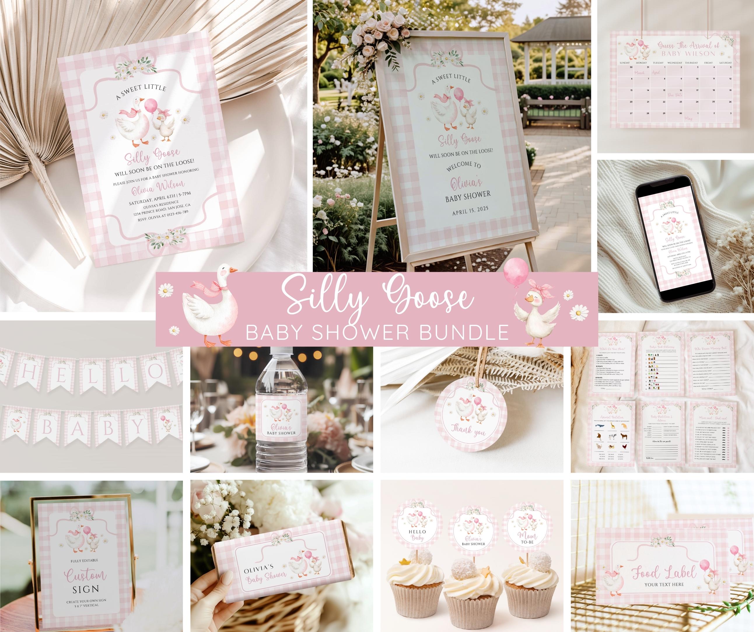 Silly Goose Baby Shower Bundle, Coquette Bow Goose Invitation & Games ...