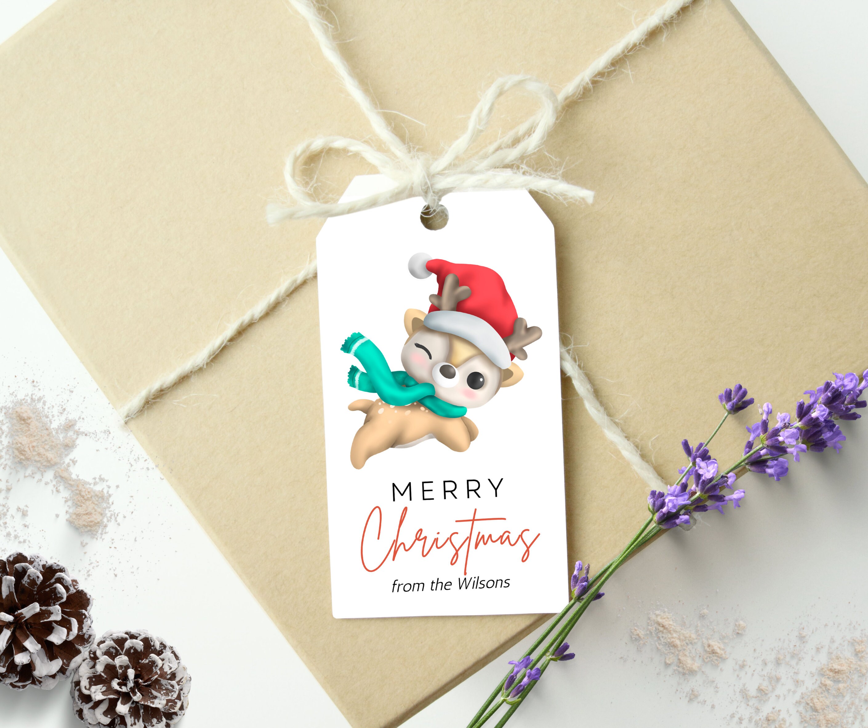 EDITABLE Christmas Gift Tag Cute Cartoon Holiday Gift Tag - Etsy