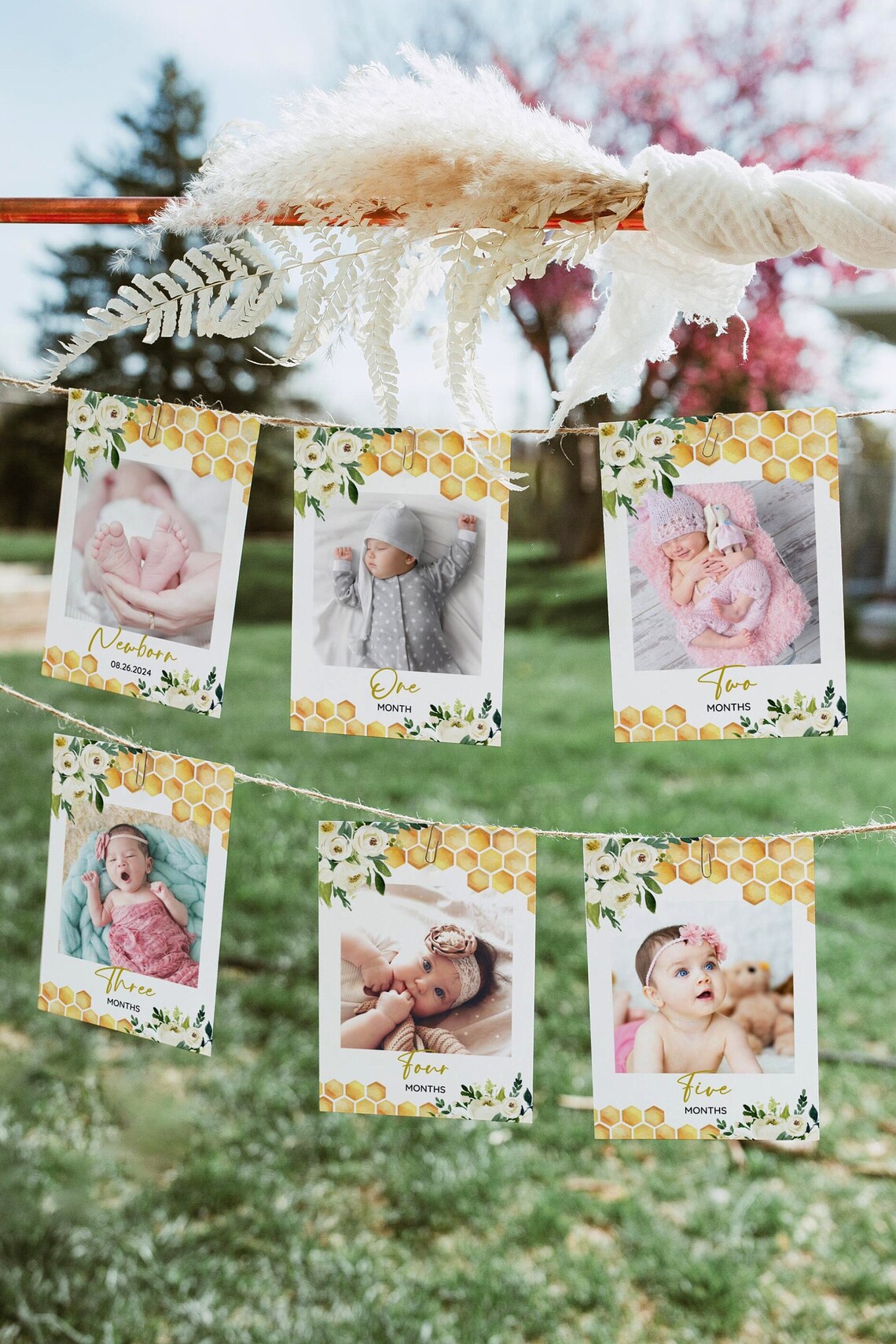 Editable Bee Monthly Milestone Photo Cards, Honey Bee Birthday Banner ...