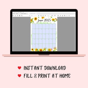 EDITABLE June 2025 Calendar (vertical / Portrait), Summer Planner With ...
