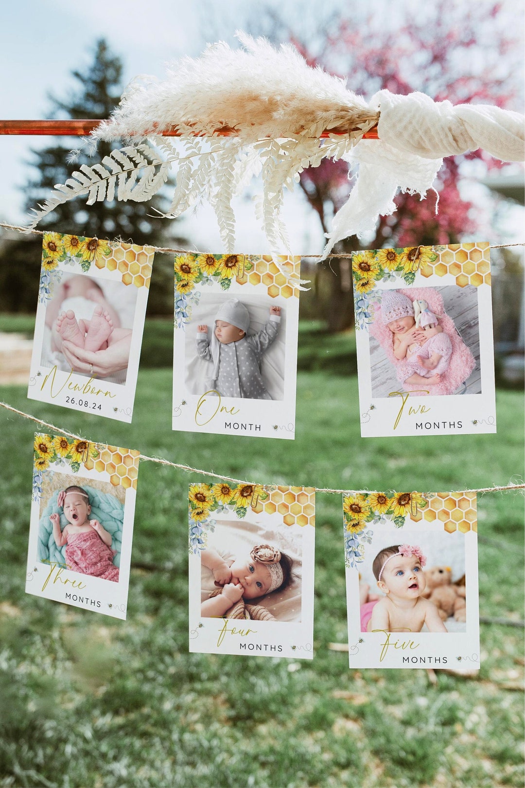 Editable Bee Monthly Milestone Photo Card, Sunflower Bee Birthday ...