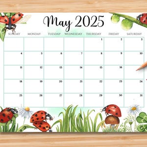 EDITABLE May 2025 Calendar, Beautiful Spring With Cute Bugs and Flowers ...